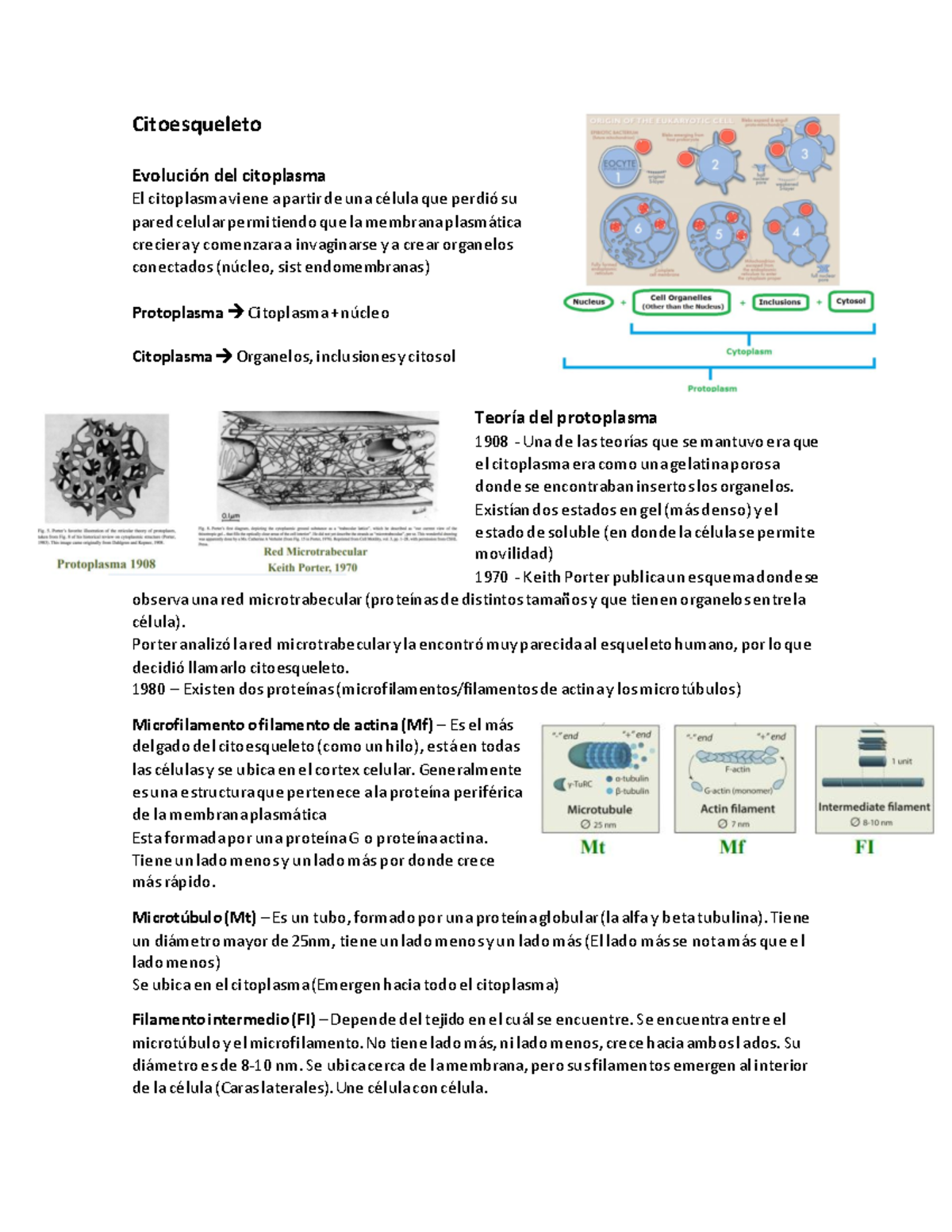 Citoesqueleto - Apunte BIOLOGÍA CELULAR y recopilación de información ...