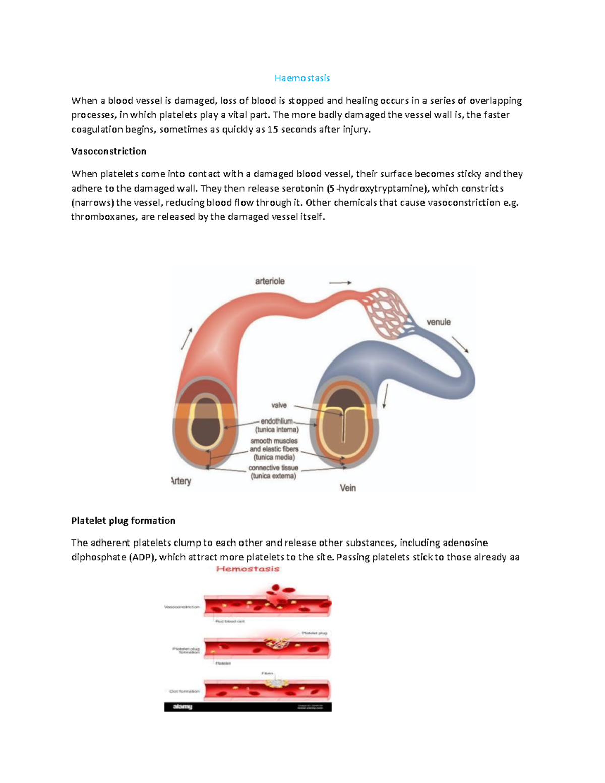 Heamostasis - Haemostasis When a blood vessel is damaged, loss of blood ...