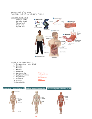 Chapter 20 anatomy - 5/7/ Chapter 20 The Cardiovascular System: Blood ...