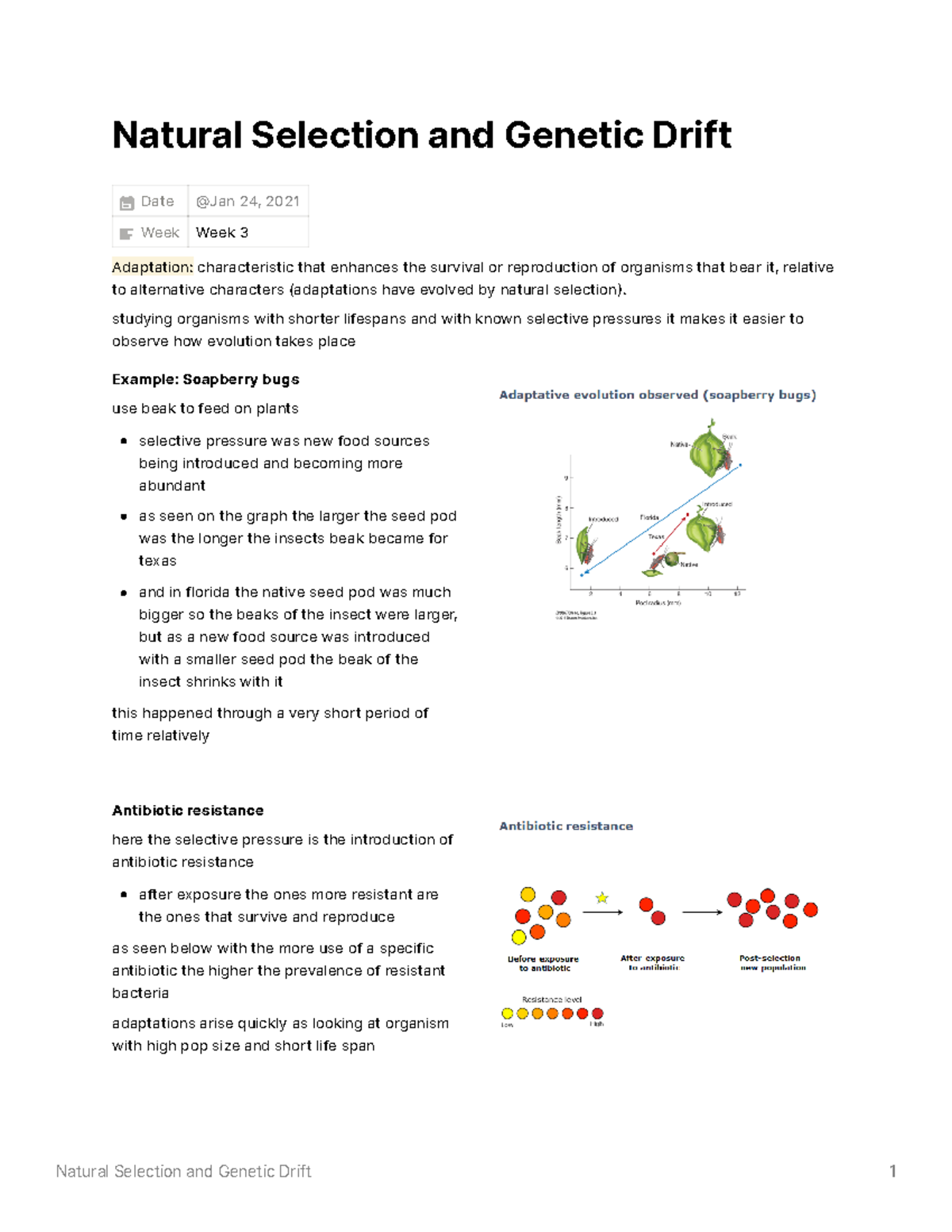 Natural Selection and Genetic Drift - Natural Selection and Genetic ...