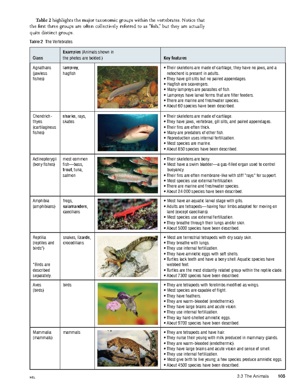 NB11U - Ch3 - The Fungi, Plants and Animals (pgs78-119) 0028-0028 ...