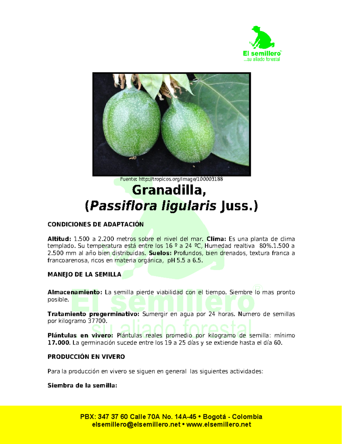 Granadilla - Fuente: tropicos/Image/ Granadilla, (Passiflora ligularis ...