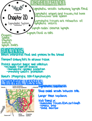 Chapter 20 quiz - Professor is Gupte - The Lymphatic System Chapter 20 ...