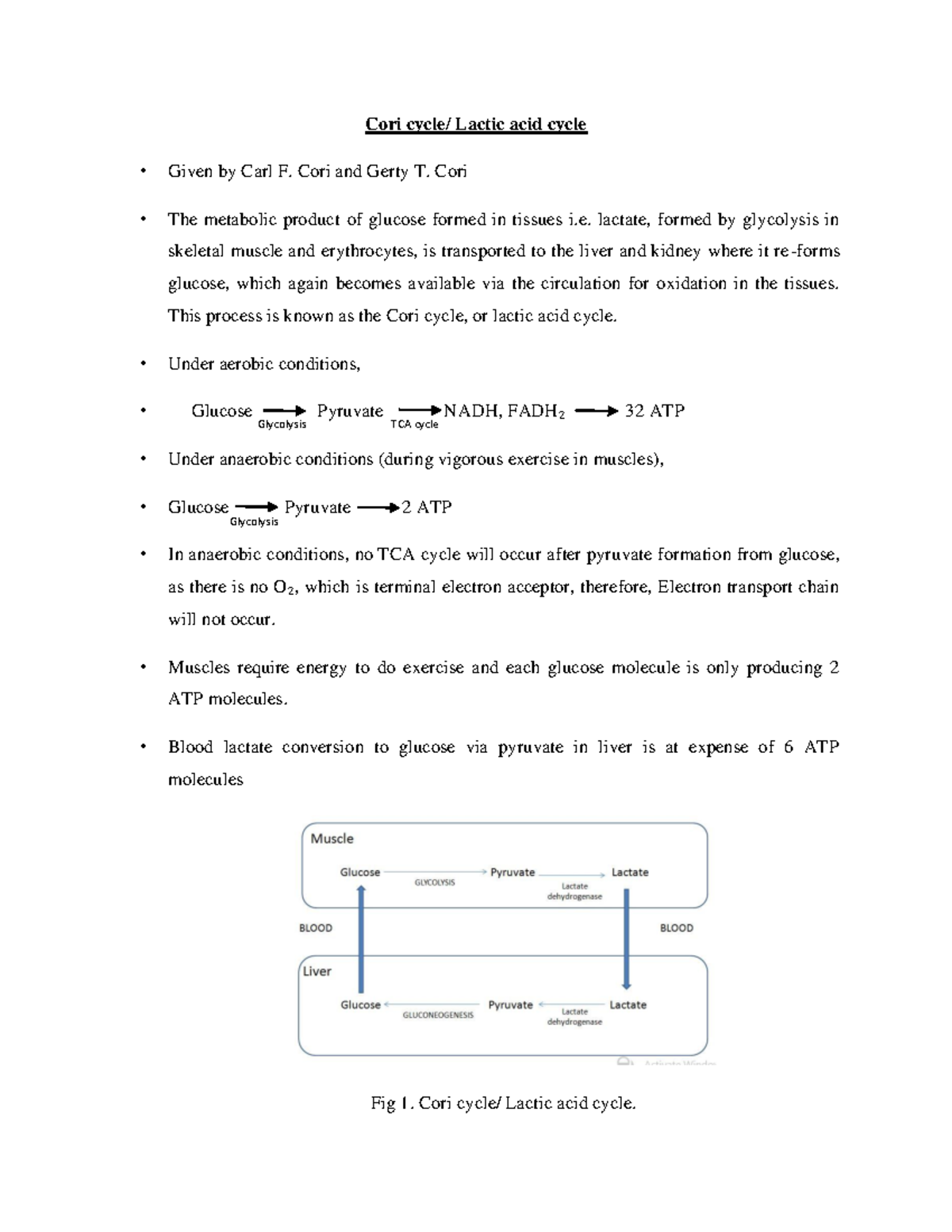 BCH5156-1 - Dm vasudevan - Cori cycle/ Lactic acid cycle Given by Carl ...