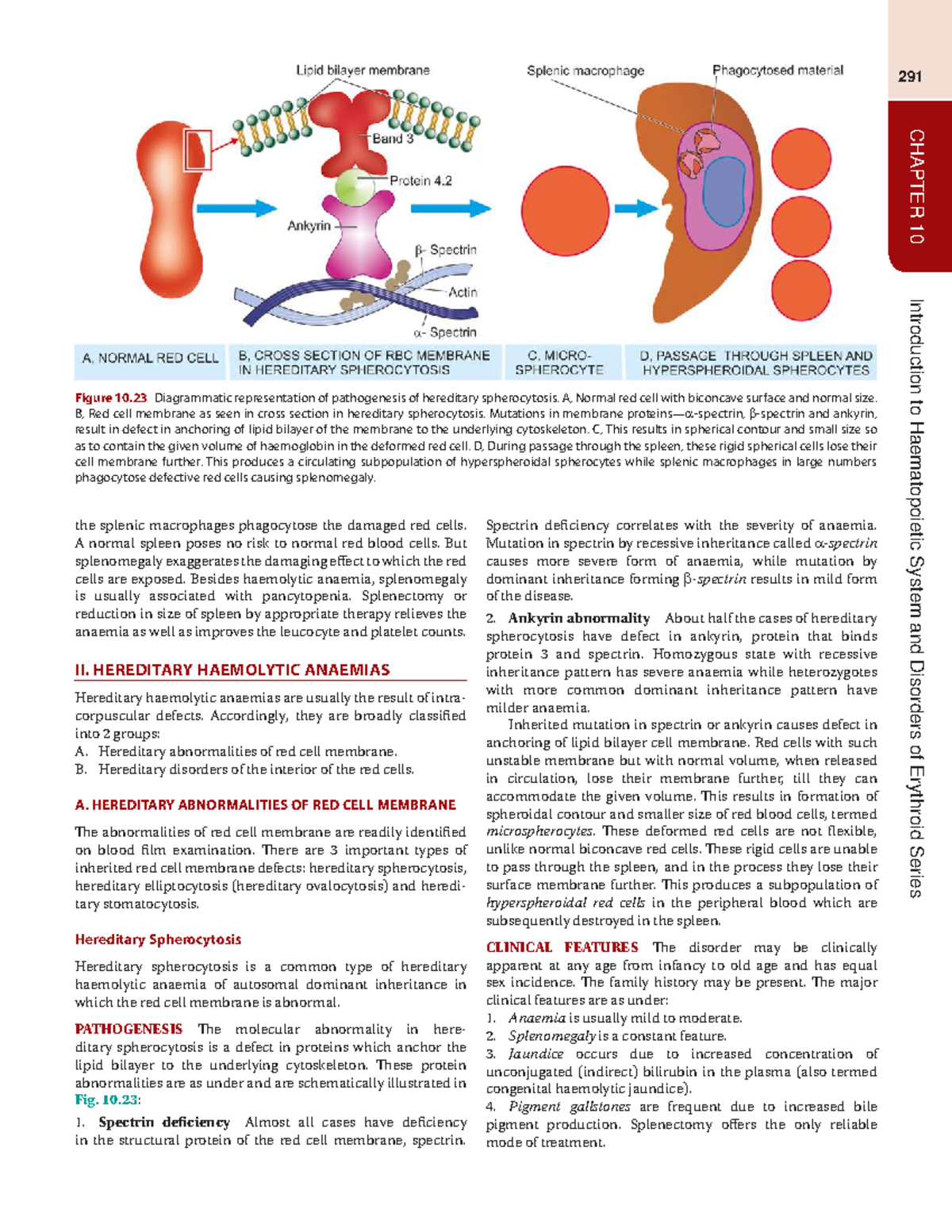 Harsh Mohan Textbook of Pathology, 7th edition-35 - Introduction to ...