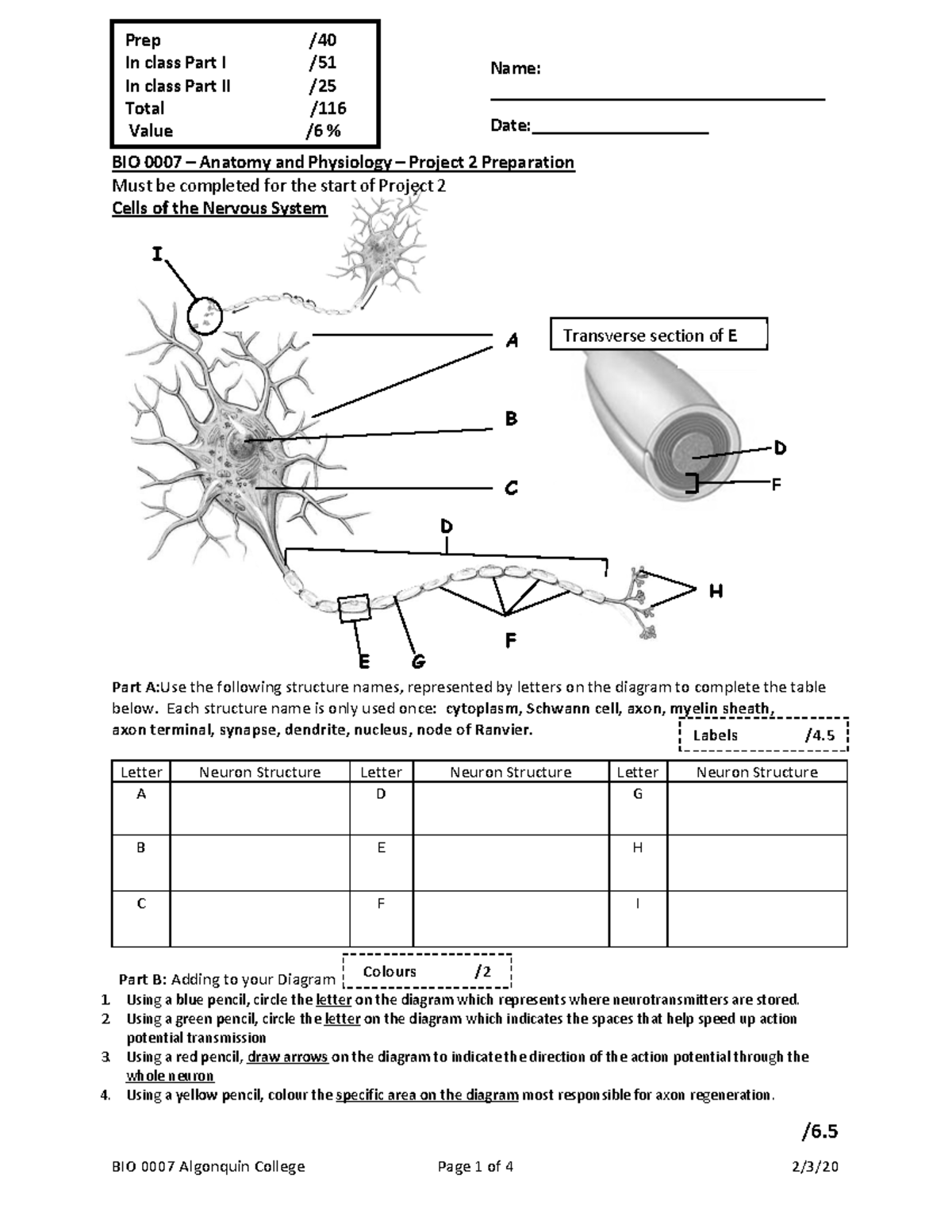 BIO0007 Project 2 Prep 2020 - Warning: TT: undefined function: 32 Prep / In class Part I / In ...