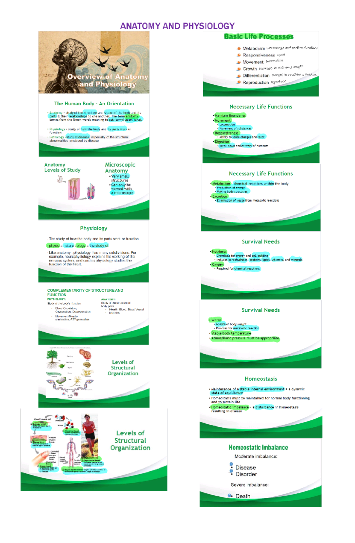 Anaphy-Reviewer-1 - BS Medical Laboratory Science - Studocu