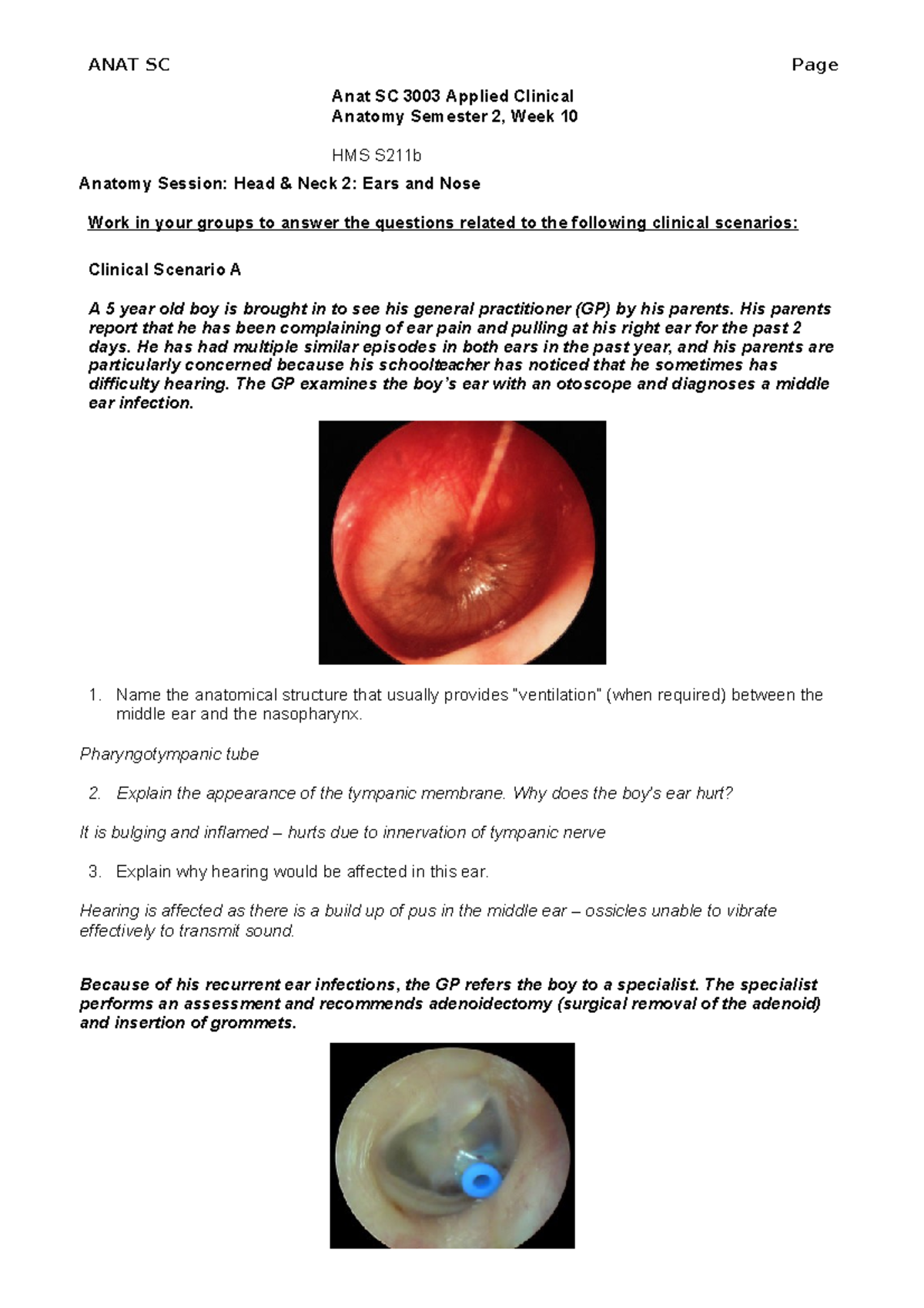 WEEK 10 DRY LAB - Ears and Nose - Anat SC 3003 Applied Clinical Anatomy ...