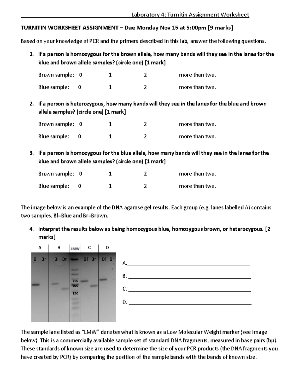 BIOL 1000 lab 4 worksheet D - Biomedical 511 - UCalgary - Studocu