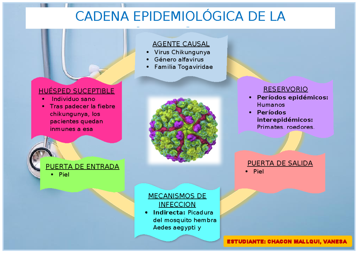 Chikungunya - CADENA EPIDEMIOLÓGICA DE LA CHIKUNGUNYA AGENTE CAUSAL ...