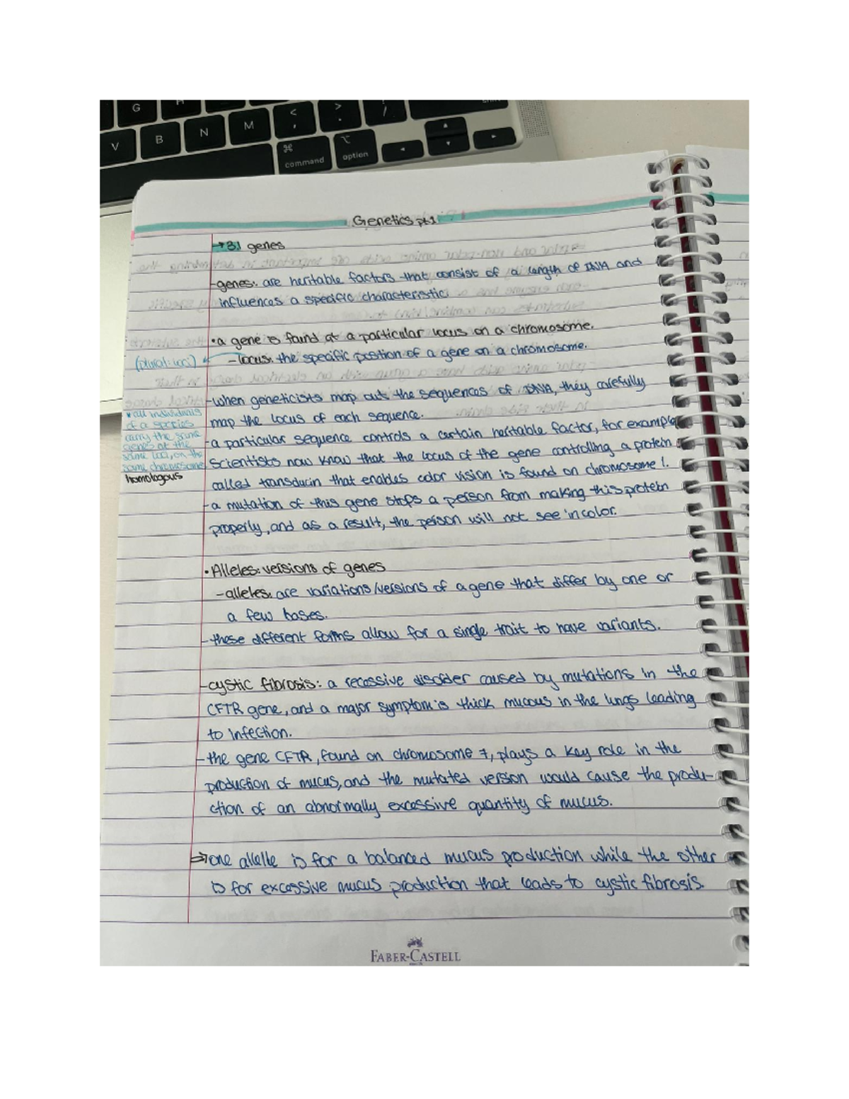 Bio notes genetics pt 1 - Studocu