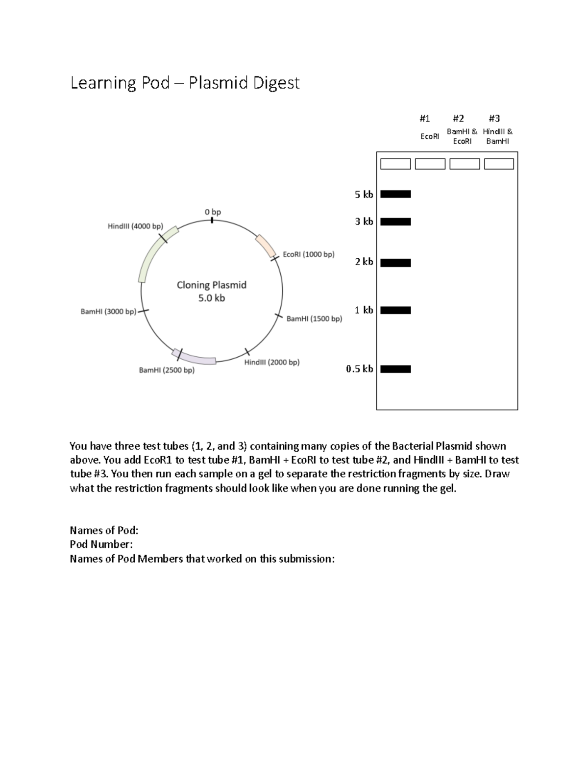 16-Learning Pod - Plasmid Digest - Learning Pod – Plasmid Digest You ...