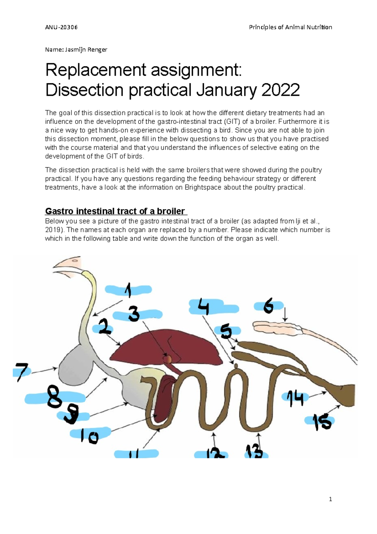 Dissection practical Replacement assignment - ANU-20306 Principles of ...