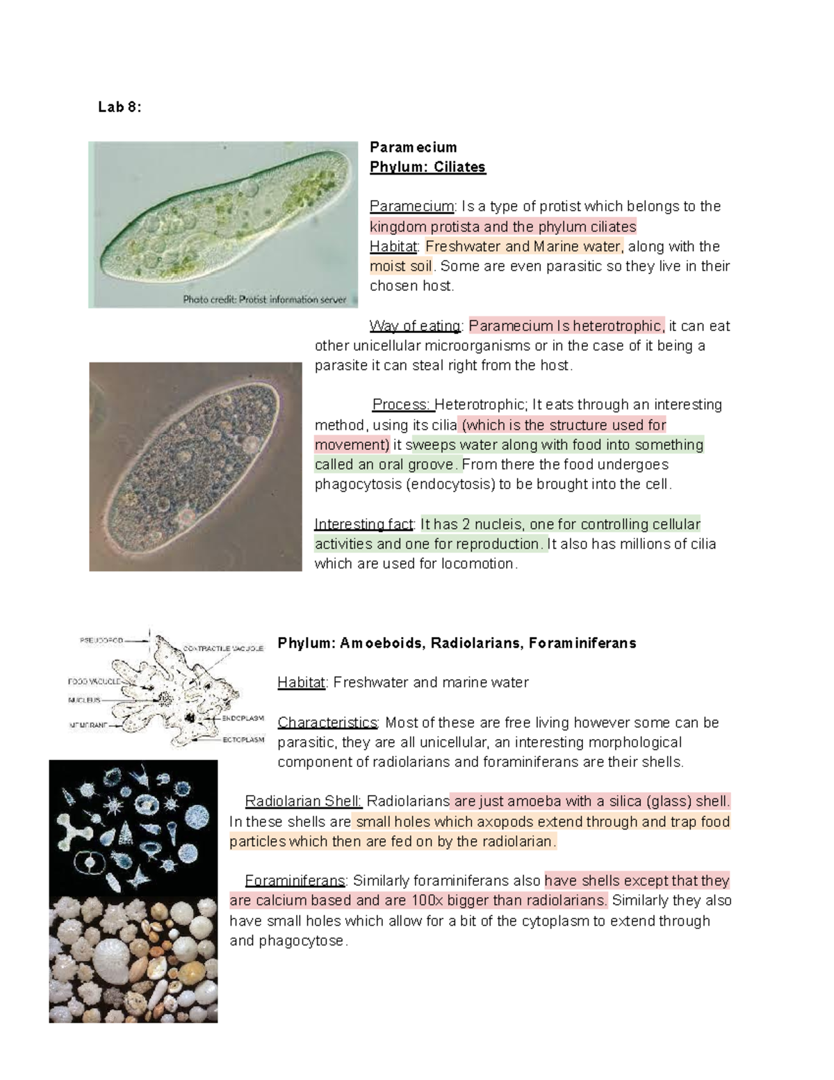 Exam 5A Review Sheet - Everything you will need to know for lab exam 5a ...