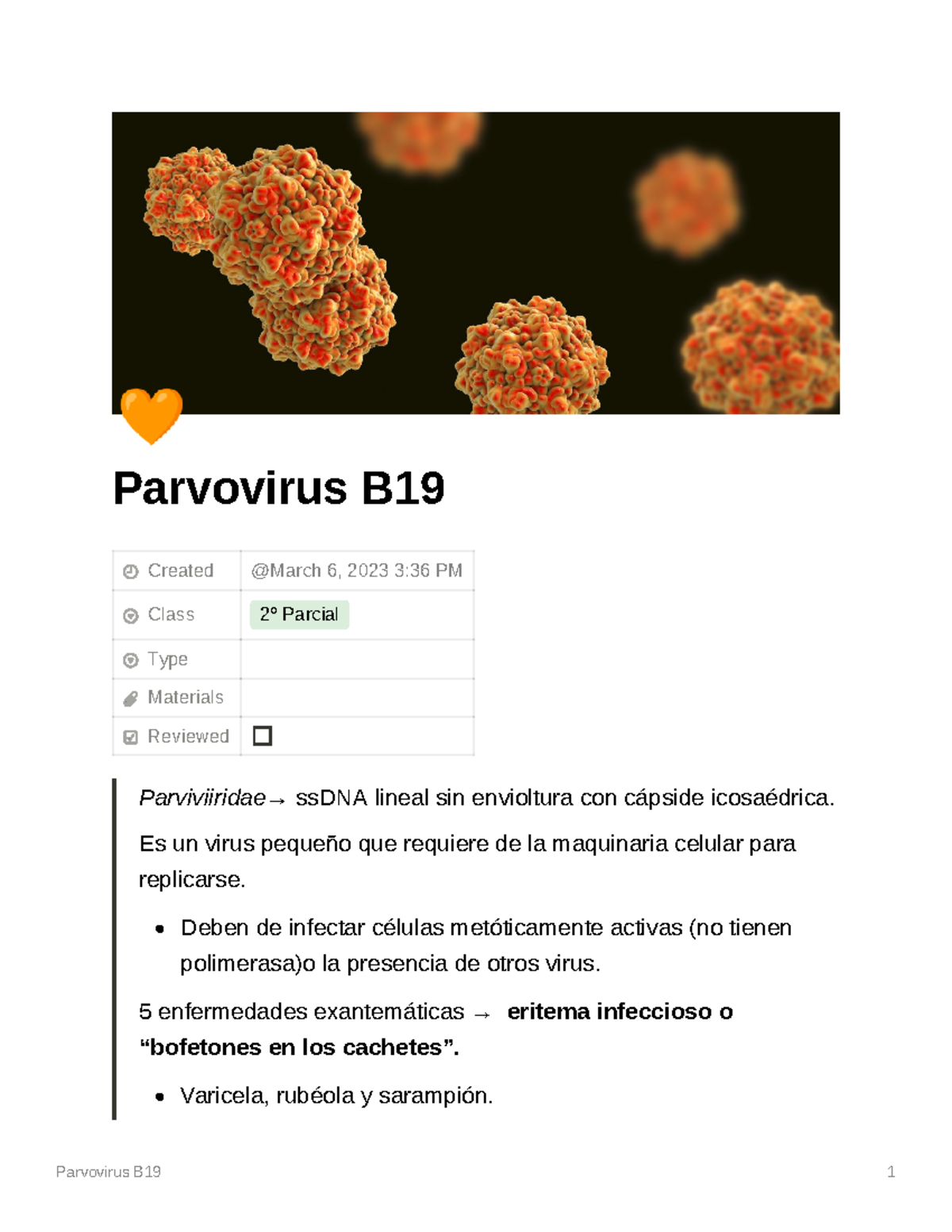 Parvovirus B19- Resumen - Parvovirus B Created Class 2º Parcial Type ...