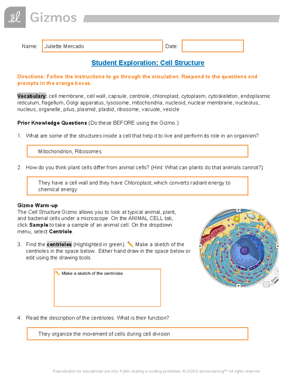 gizmo - Cell Structure - Name: Juliette Mercado Date: Student Exploration: Cell Structure - Studocu