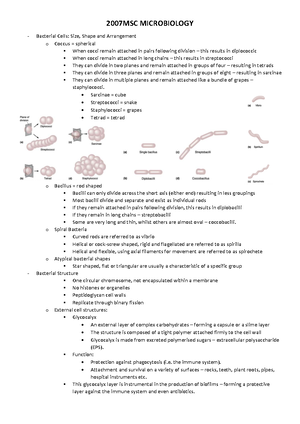 Module 2 workshop - 2008NSC General Microbiology Module 2 Structure ...