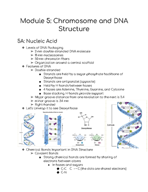 Module 2 Mendelian Genetics - PCB 3063C - Studocu