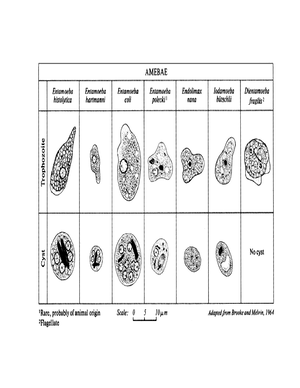 GUÍA DE Práctica DE Patología General Y Aplicada - Warning: TT: undefined function: 32 Warning ...