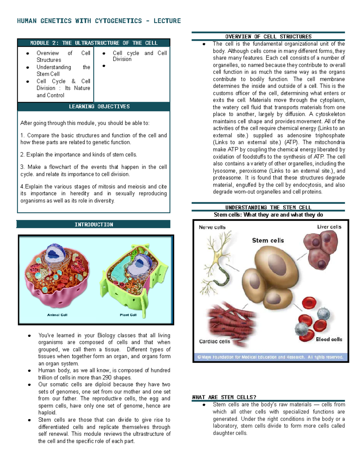 C2 Human GEN - HUMAN GENETICS WITH CYTOGENETICS - LECTURE MODULE 2: THE ...