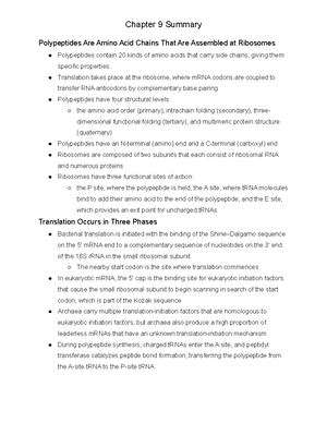 Chapter 7- DNA Structure and Replication - Chapter 7 DNA Structure and ...