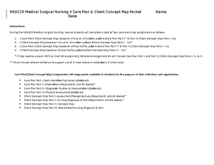 FULL CARE PLAN REDO - Careplan - NSG223 Medical Surgical Nursing II ...
