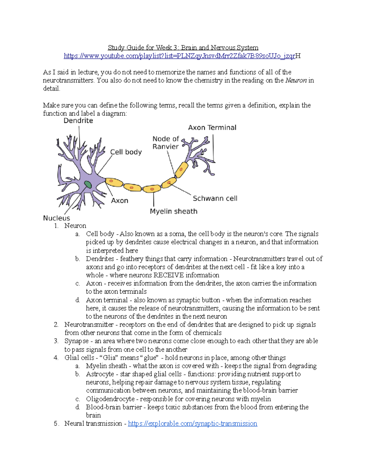 Study Guide - Exam 1 - Study Guide for Week 3: Brain and Nervous System ...