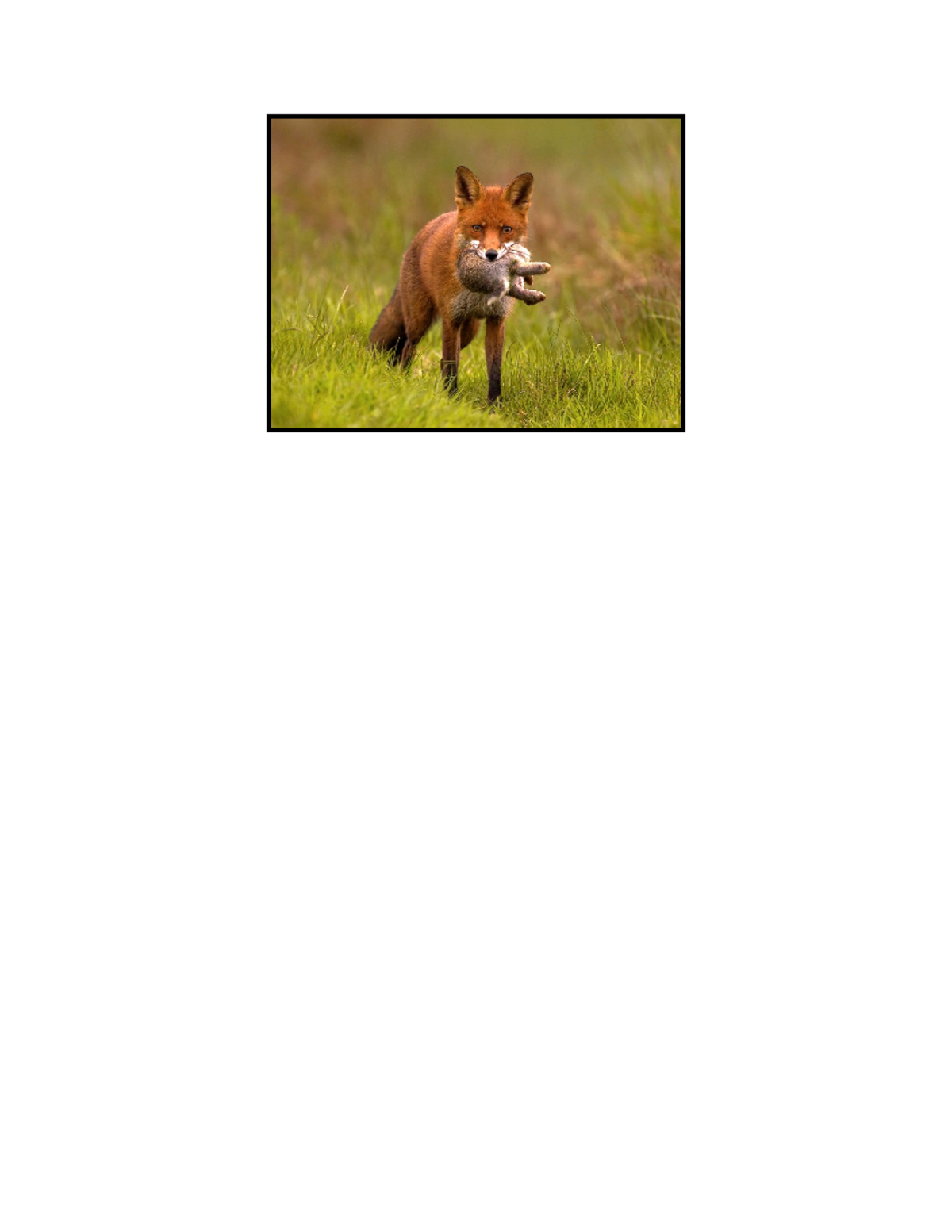 Mini Project CE2407 B - Introduction: Provide the historical background ...