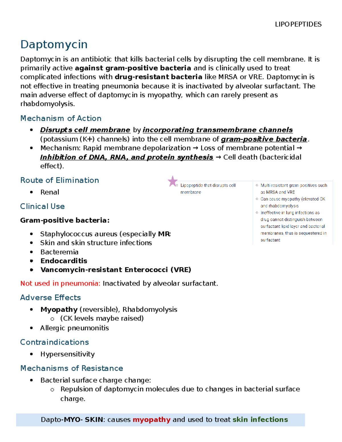 Daptomycin - LIPOPEPTIDES Daptomycin Daptomycin is an antibiotic that ...