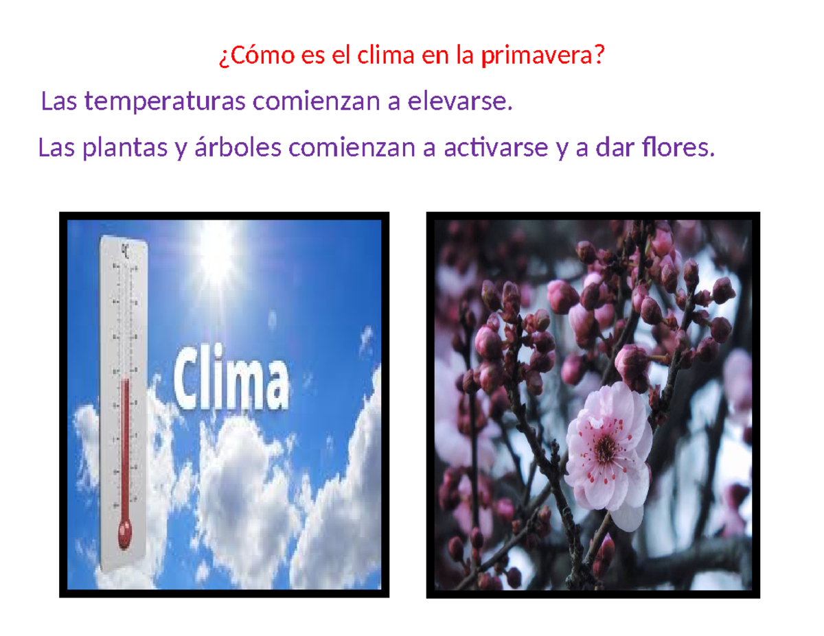 Cómo es el clima en la primavera - Ciencias de la tierra - ¿Cómo es el ...