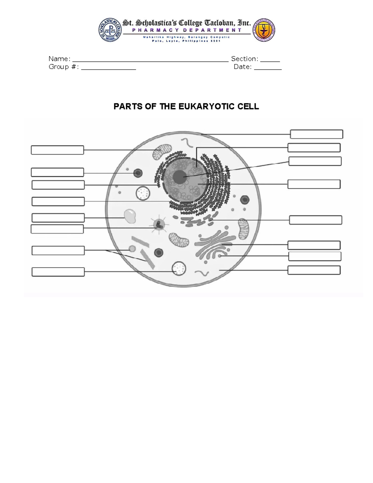 Eukaryotic parts and its functions Biochem - Pharmacy - Biochemistry ...