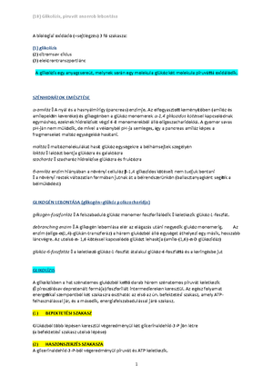 08 tétel Enzimek enzimek osztályozása - (08) Enzimek működése és ...