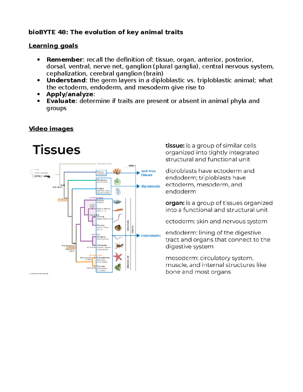1802.Notes guide.bio BYTE 48 - bioBYTE 48: The evolution of key animal ...