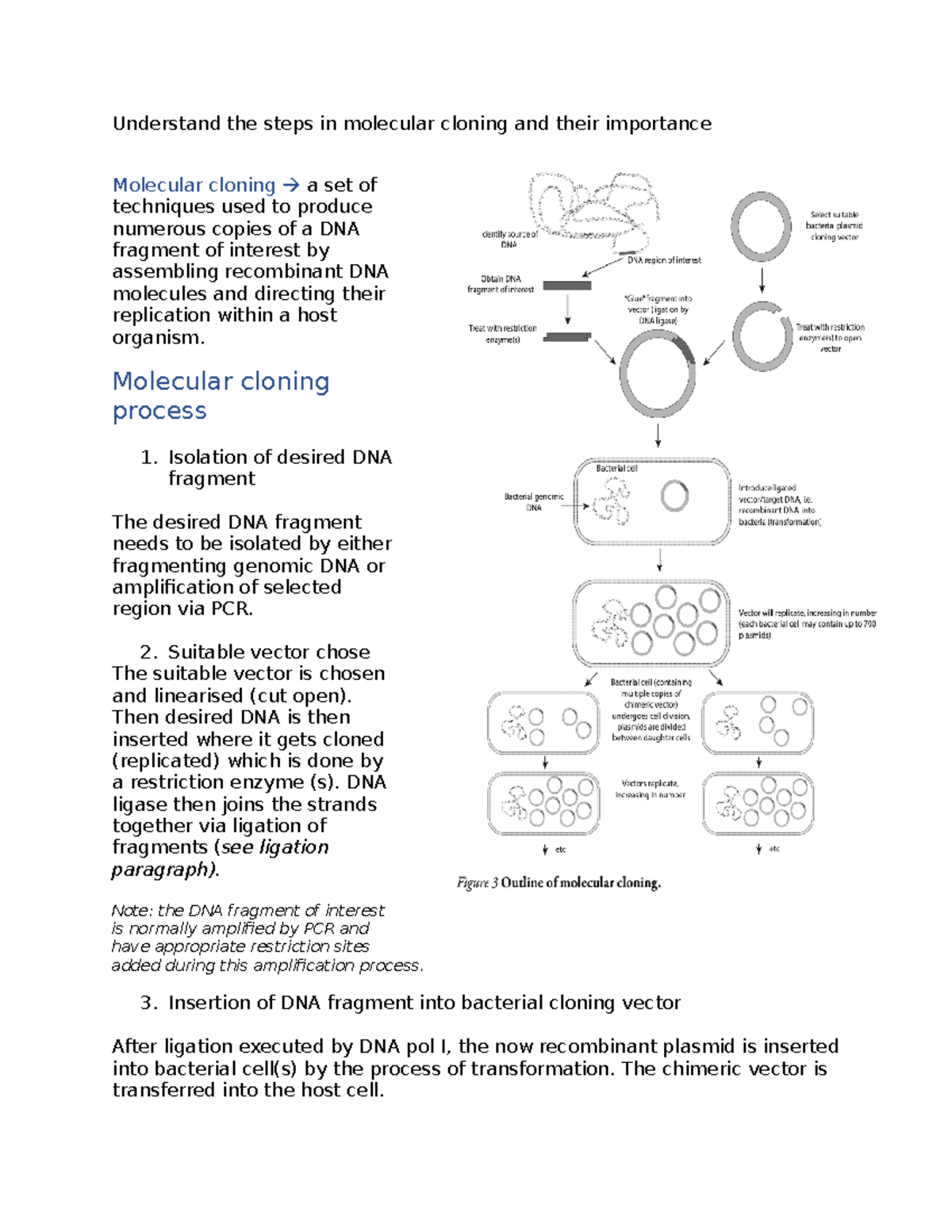 BIOC221 - L2 (Lab2) Molecular cloning - Understand the steps in ...