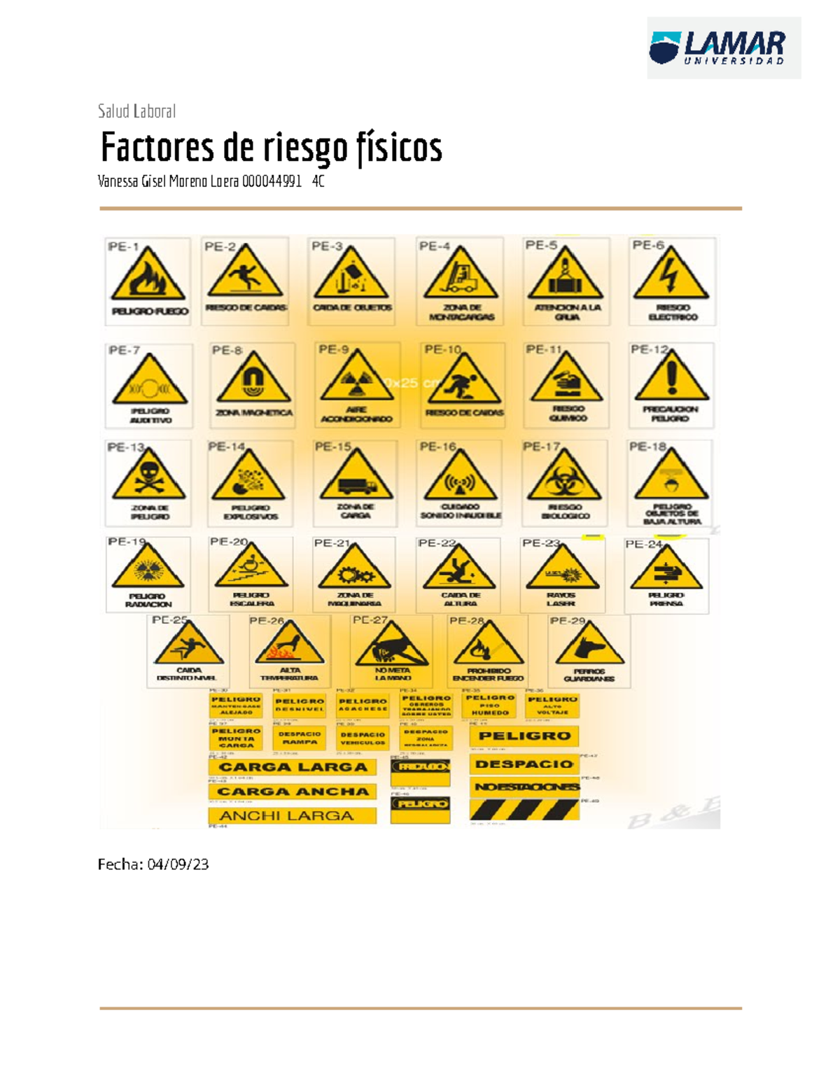 Riegos fisicos - Salud Laboral Factores de riesgo físicos Vanessa Gisel ...