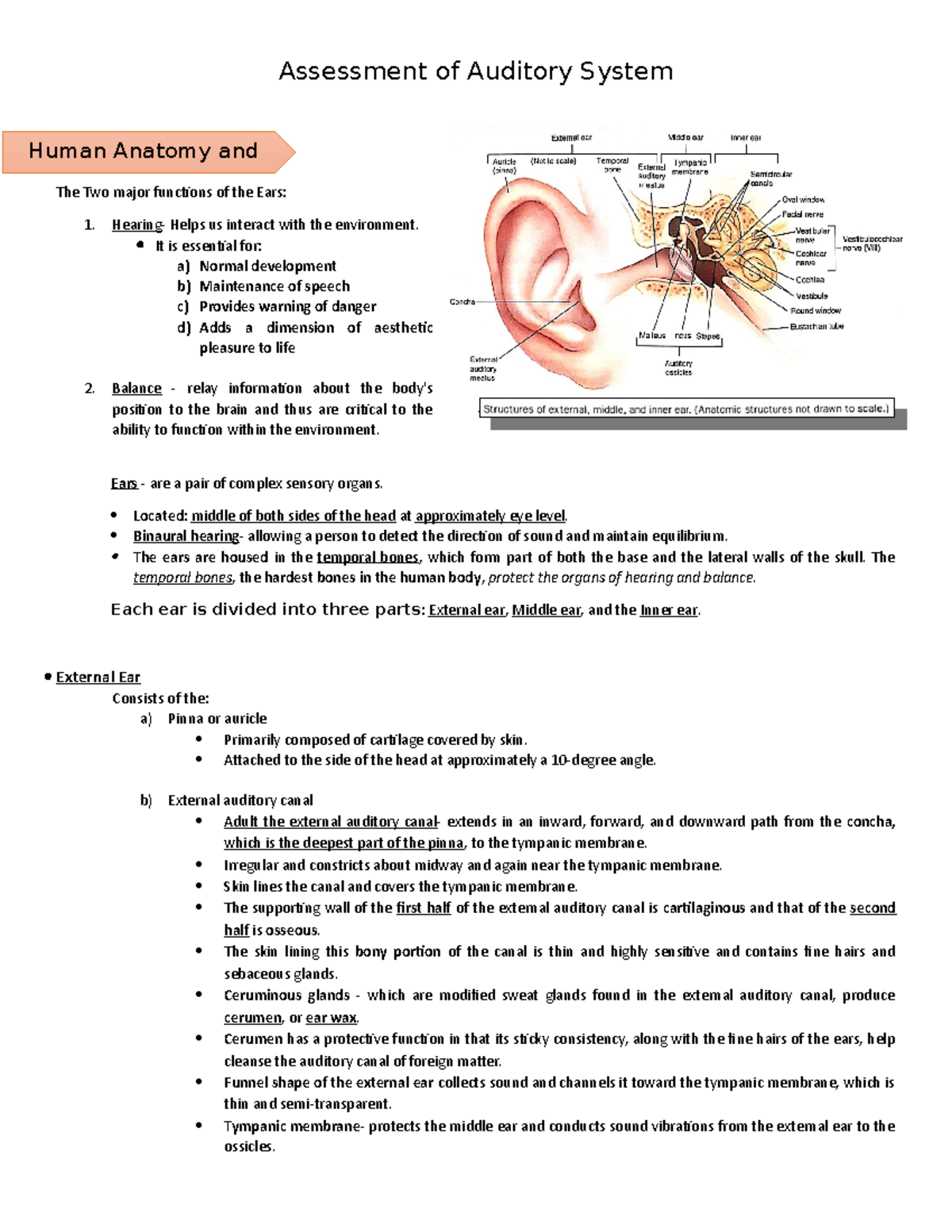 Assessment of auditory system - Assessment of Auditory System The Two ...