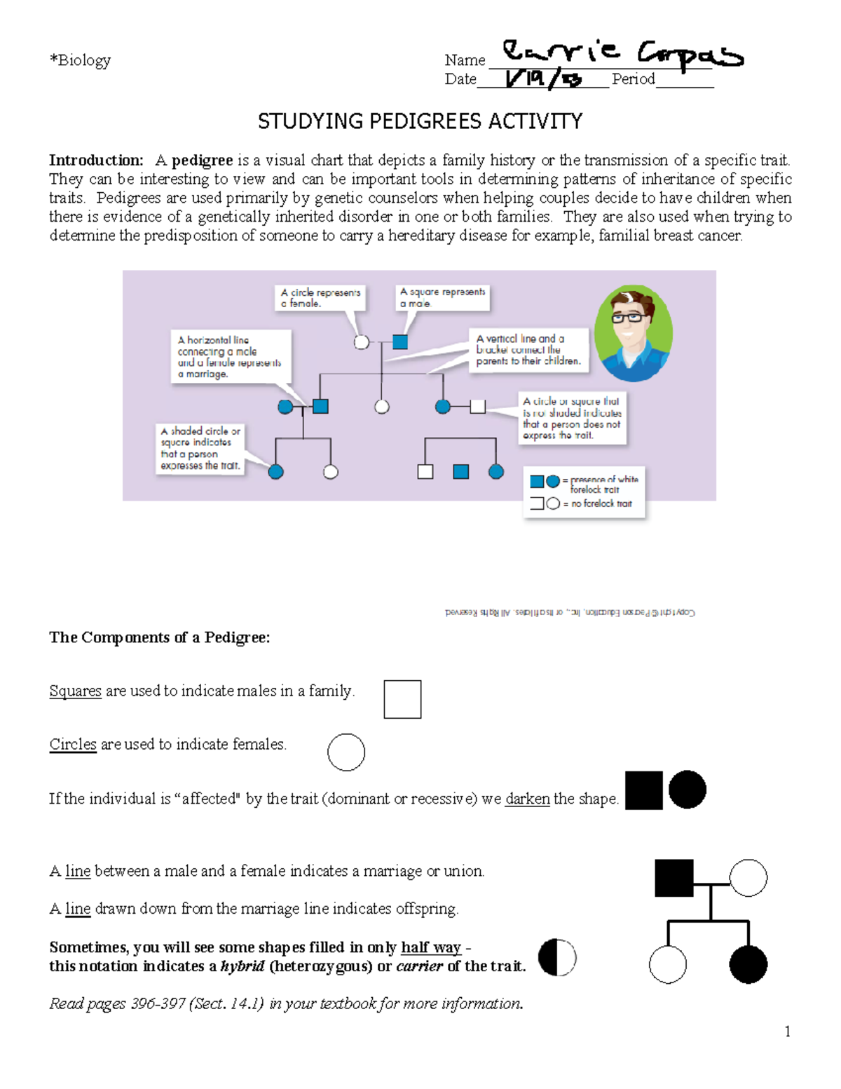 Intro to pedigree Worksheet - *Biology Name ...