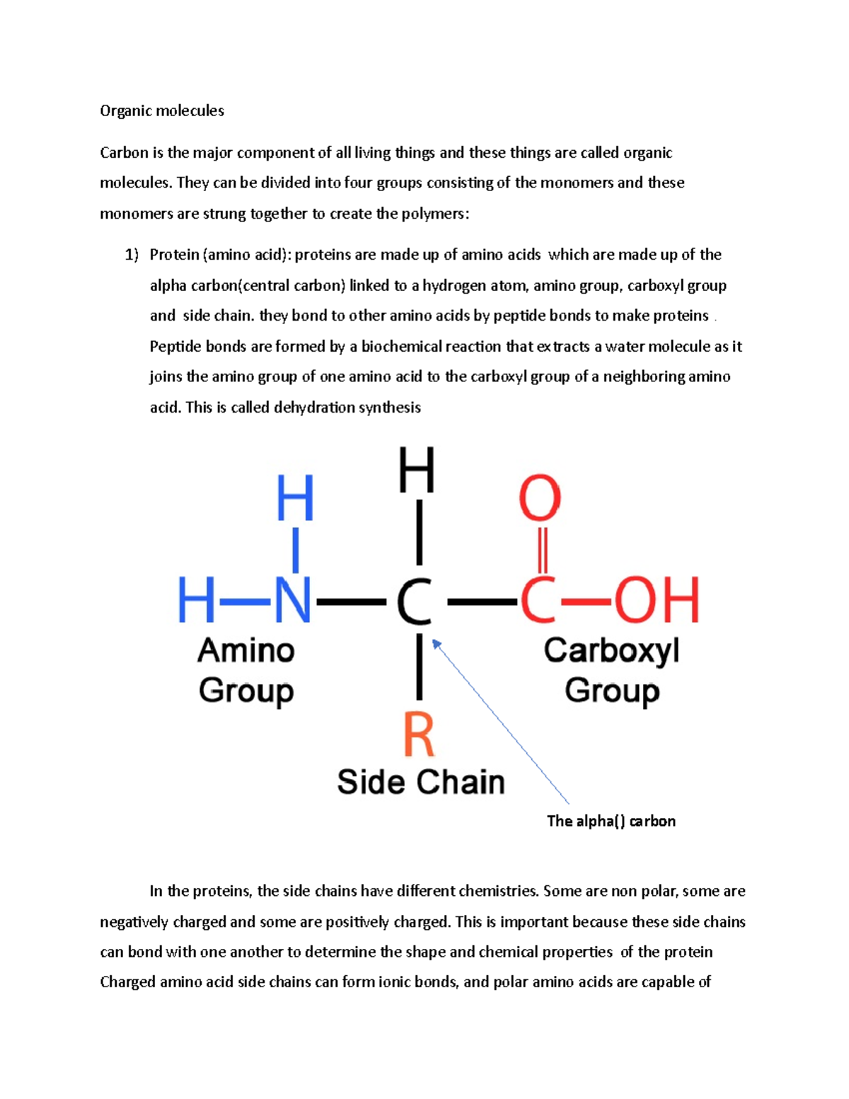 Organic molecules - Organic molecules Carbon is the major component of ...
