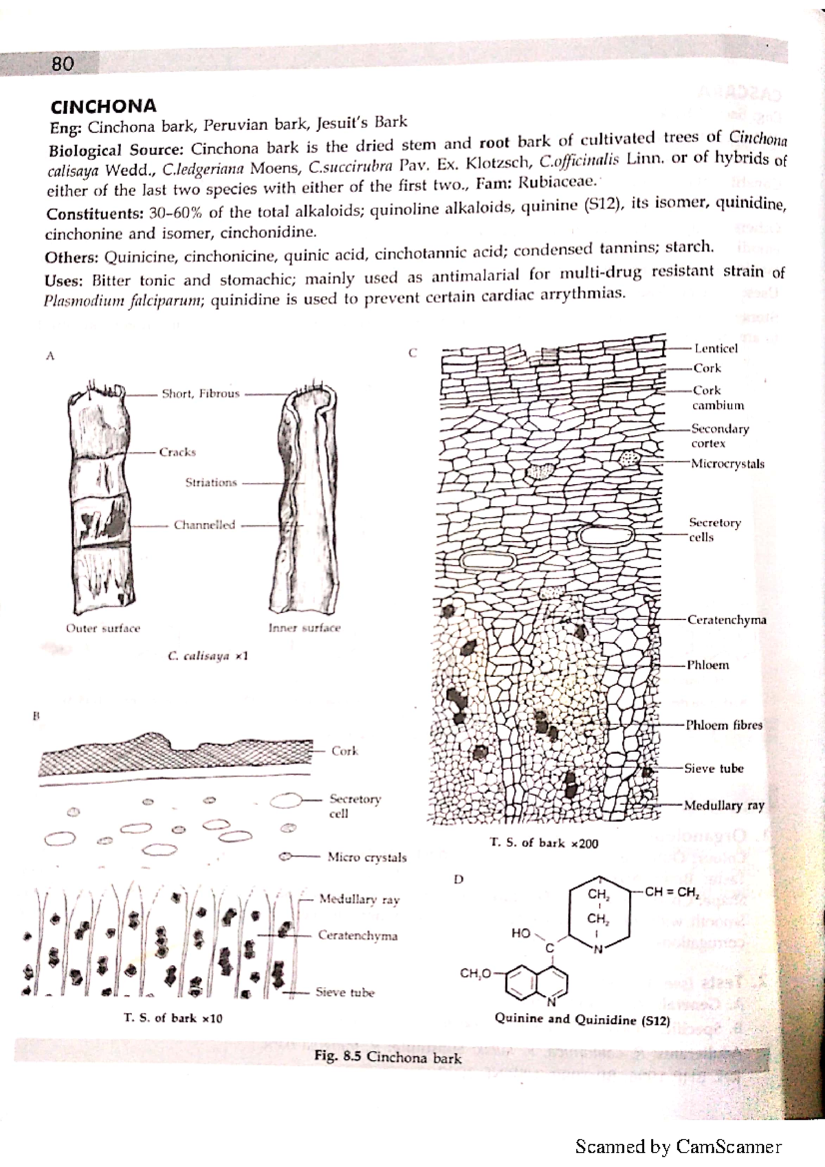 Cognosy Practical Material - B Pharmacy - Studocu