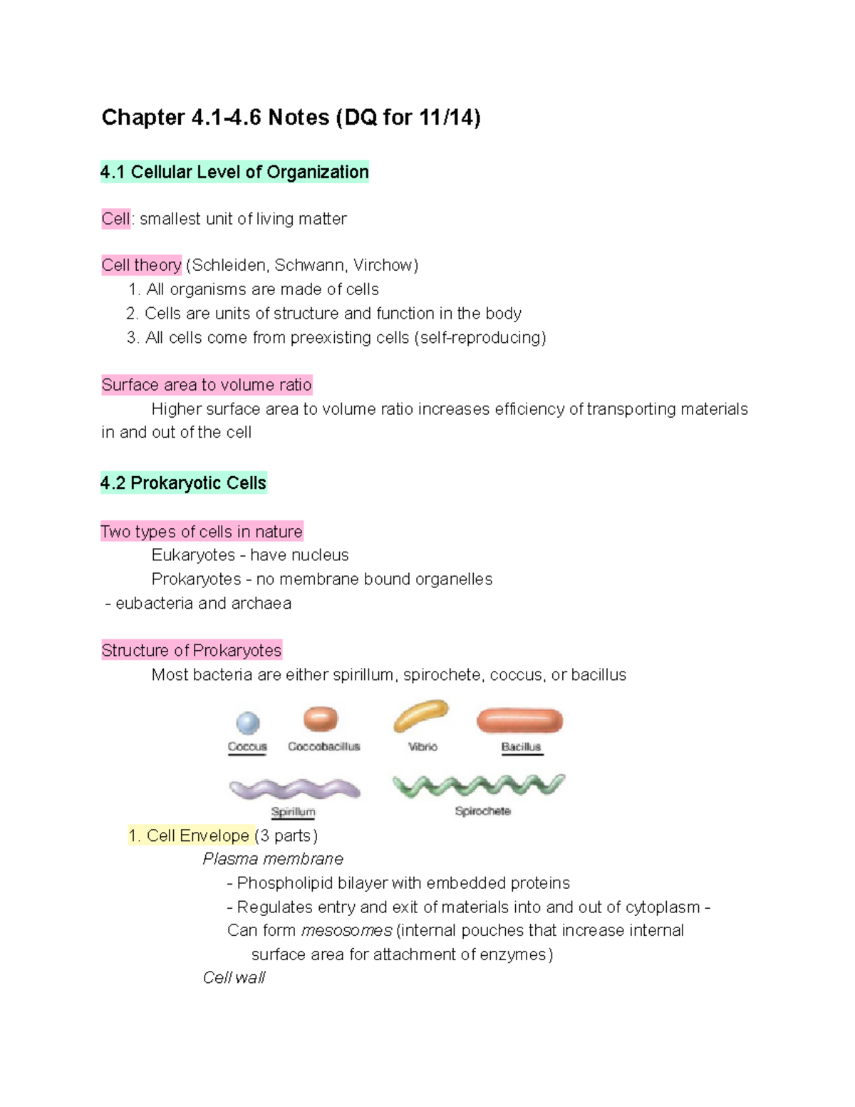 Biology Chapter 4A - Chapter 4.1-4 Notes (DQ for 11/14) 4 Cellular ...