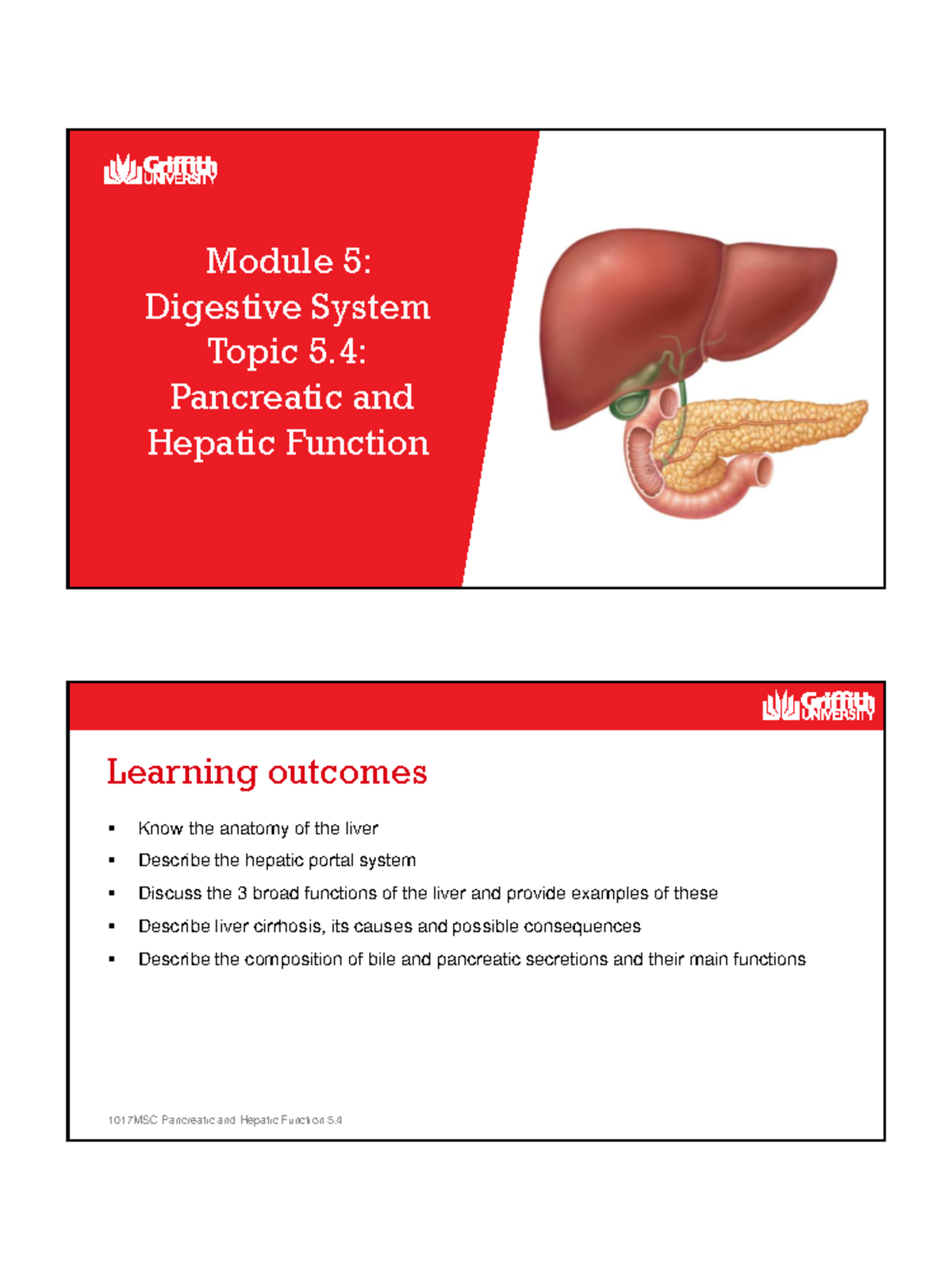 1017MSC 5 - Lecture notes A&P - Module 5: Digestive System Topic 5 ...