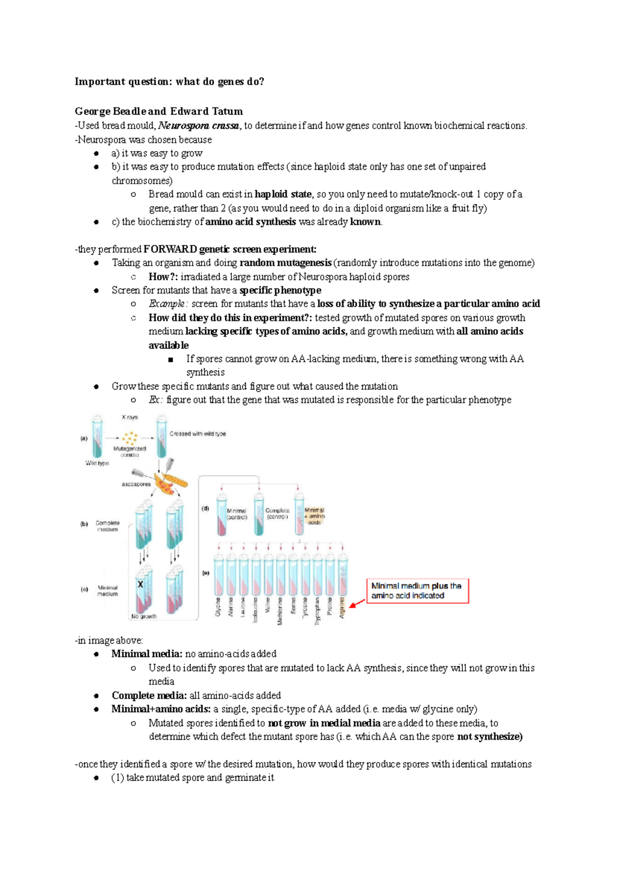 Week 2 Lecture: Molecular biology experiments - Sc/Biol 3110 - Yorku ...
