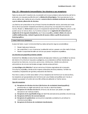 Linfocitos - generalidades, etc - Linfocitos Pequeñas células ...
