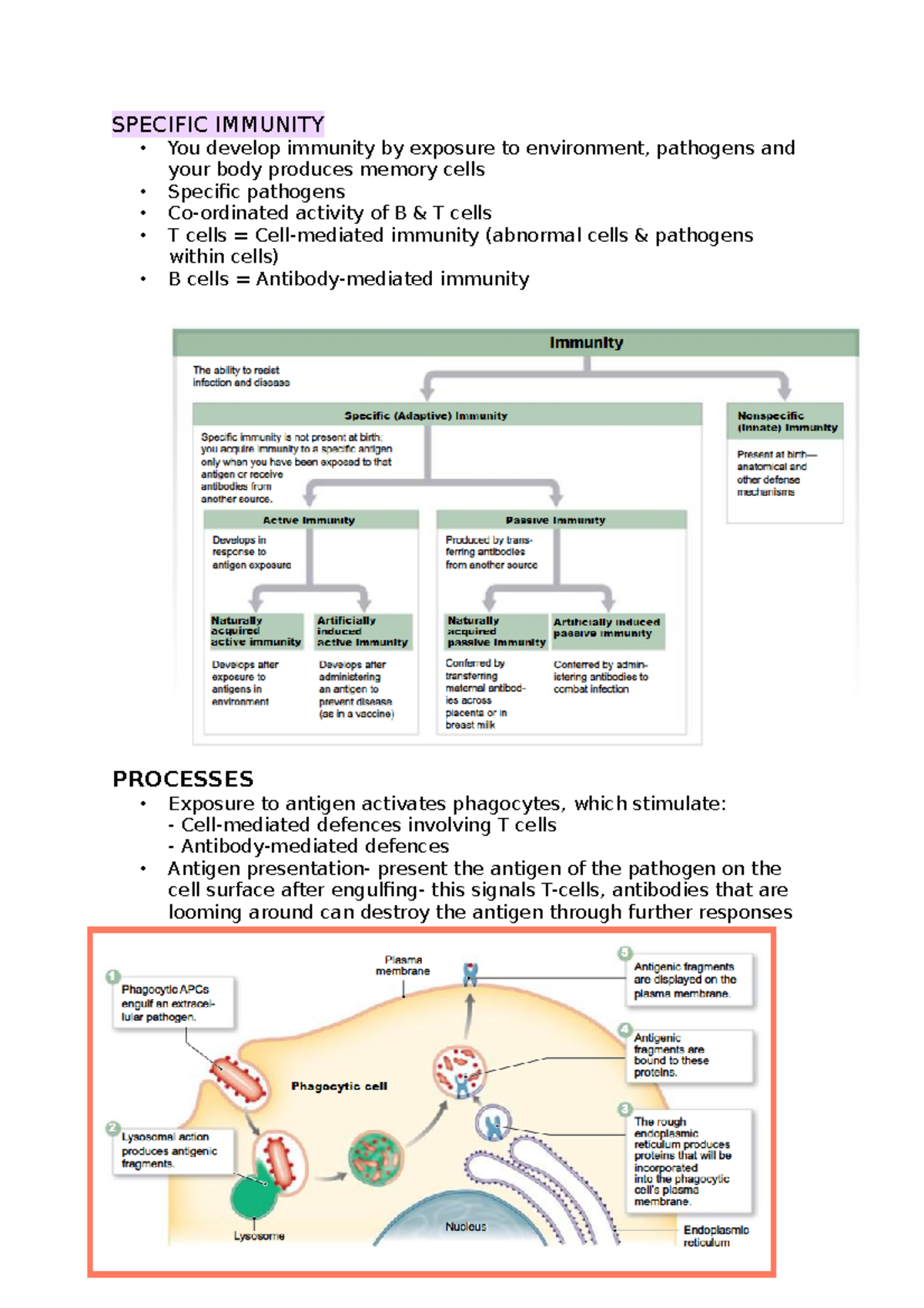 Specific Immunity - Lecture notes 8 - SPECIFIC IMMUNITY You develop ...