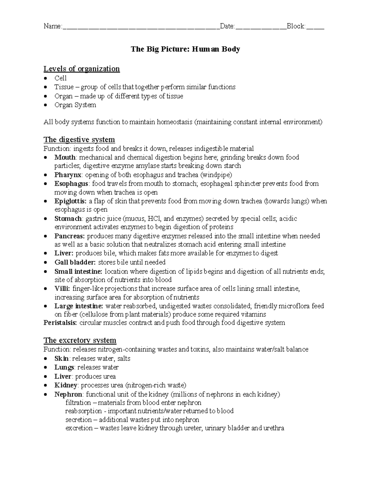 Big Picture Bio Human Body - The Big Picture: Human Body Levels of ...