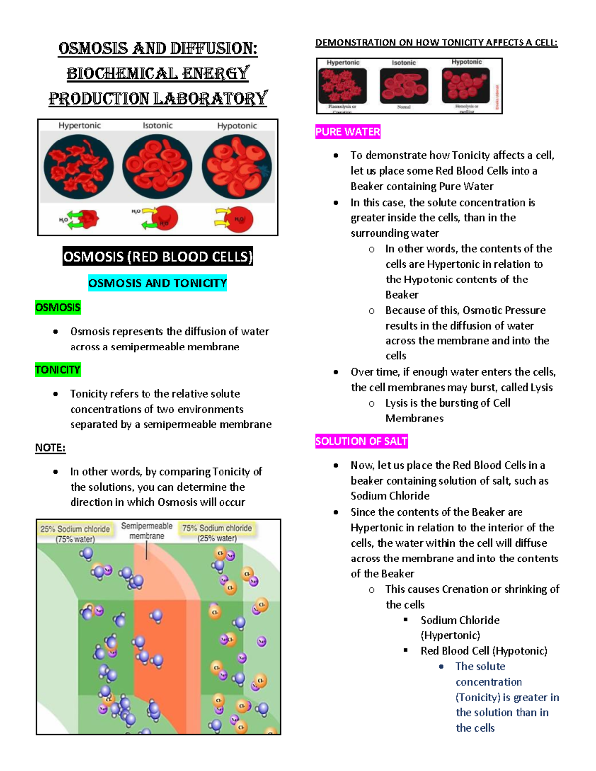 Biochem Laboratory Finals ALL - OSMOSIS AND DIFFUSION: BIOCHEMICAL ...