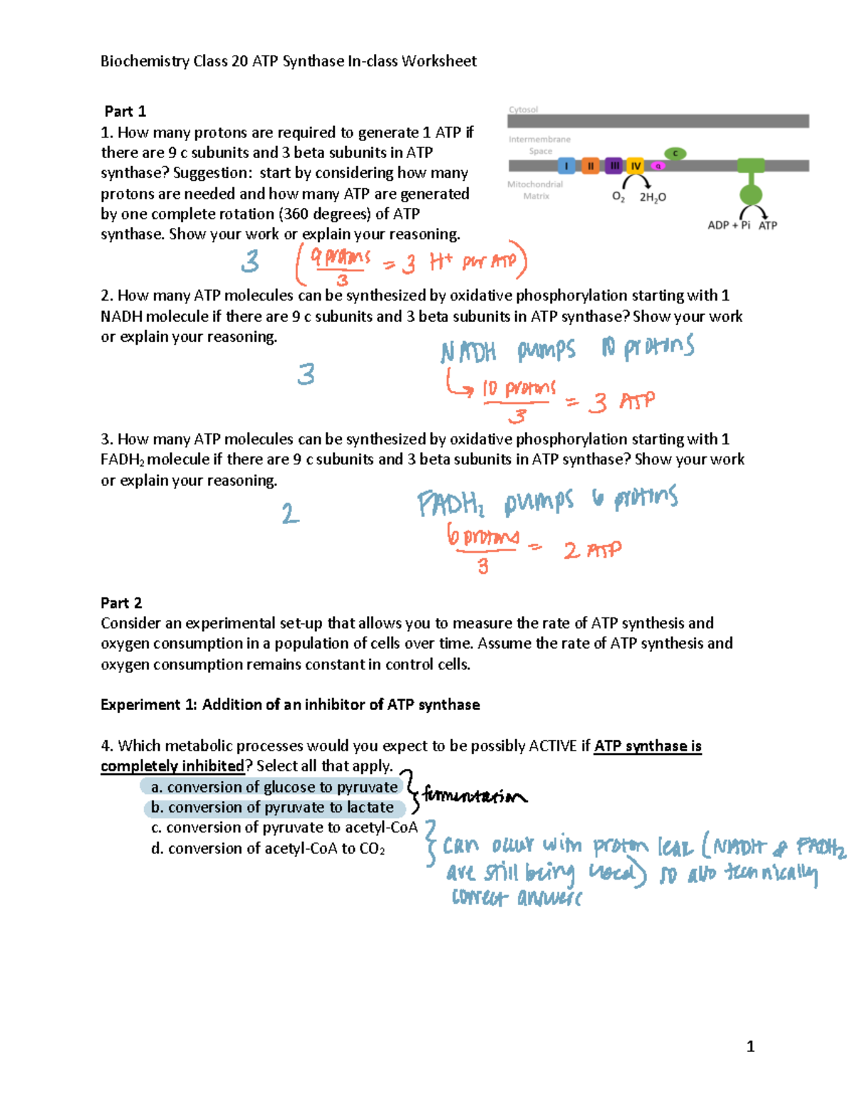 Biochem Assn 4-13 - In Class Work Tifft - Biochemistry Class 20 ATP ...