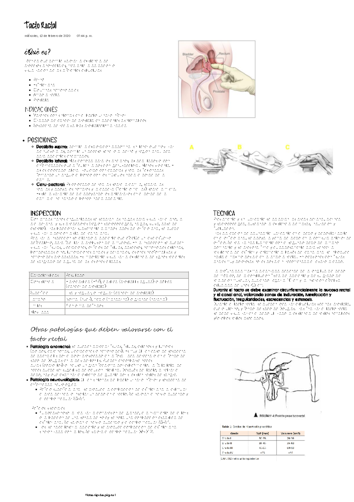 PRACTICA TACTO RECTAL - Técnica que permite valorar la existencia de ...