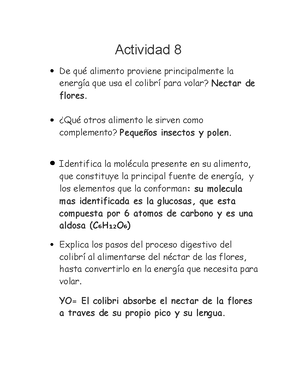 actividad 14 ciencias de la vida, biodiversidad diferentes tipos de ...