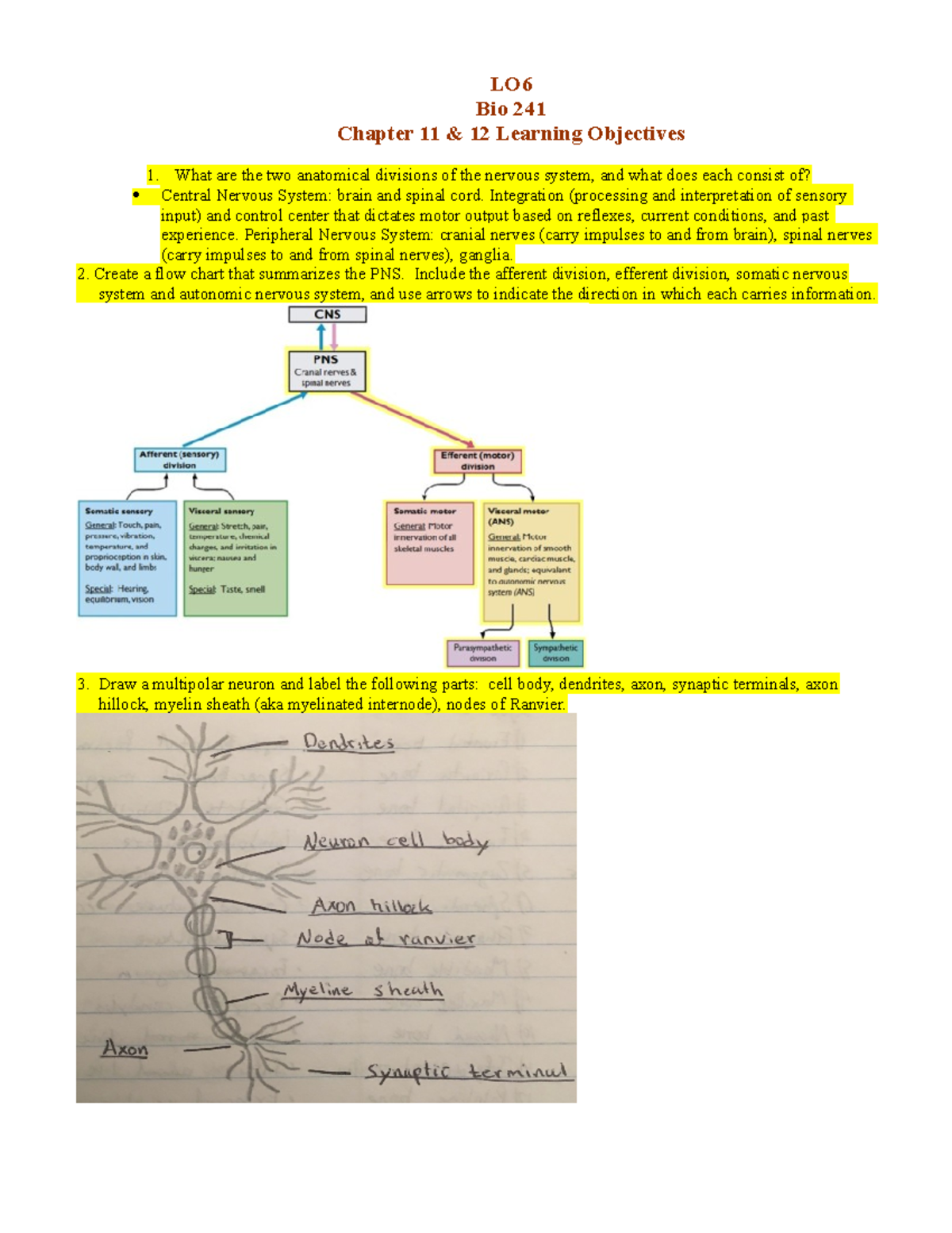 ANP LO 6 - learning objective - LO Bio 241 Chapter 11 & 12 Learning Objectives What are the two ...